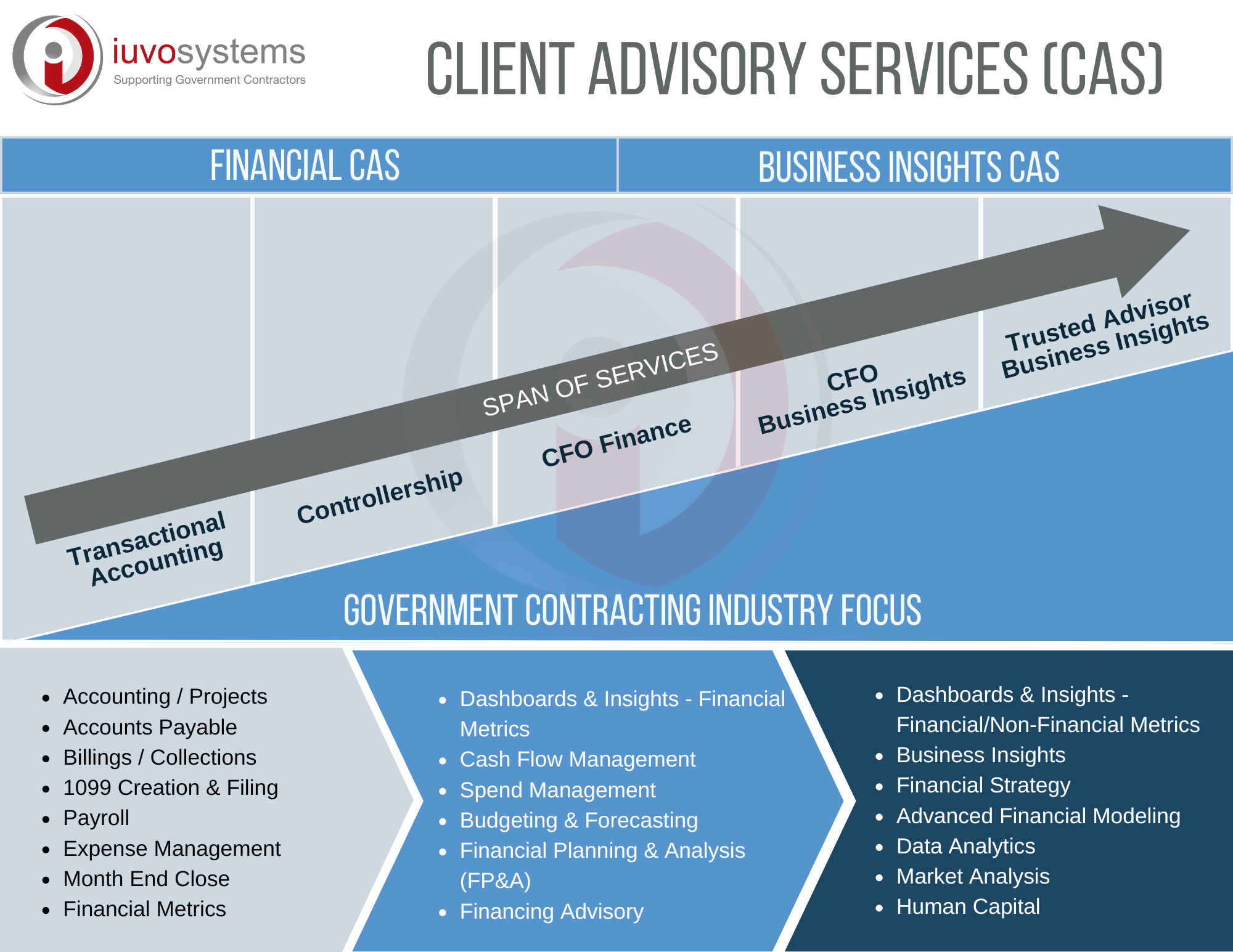 Outsourced Accounting Services for GovCon | Iuvo Systems