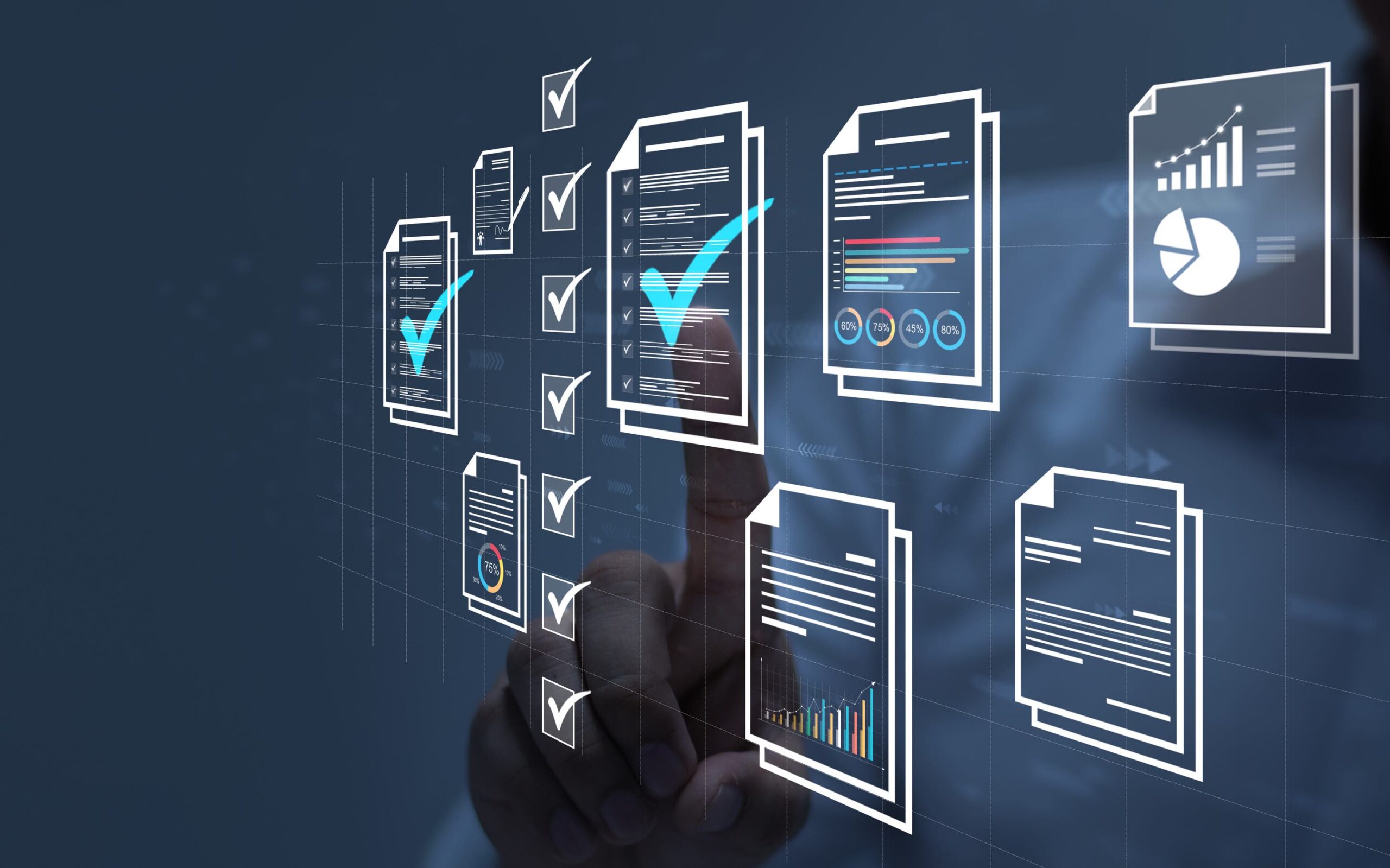 Program Management Office - Iuvo Systems | GovCon Solutions